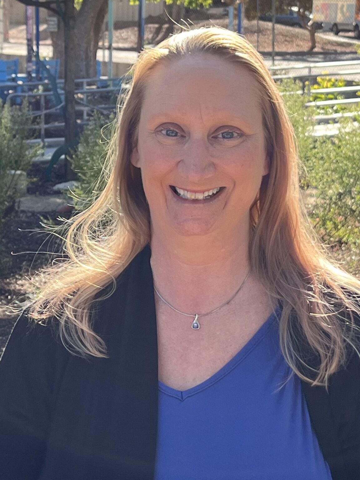 Lisa Carey - Undivided